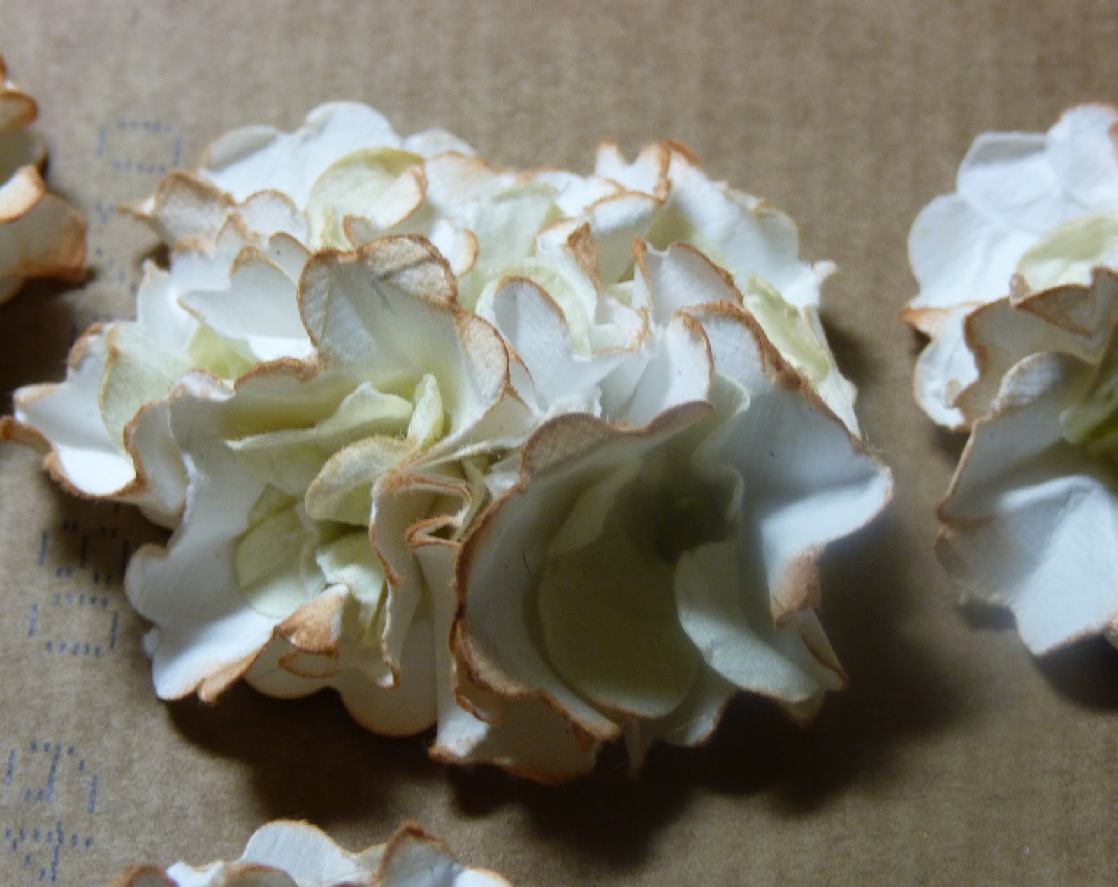 A Soul's Heartbeat: Ruffled Petal Flowers