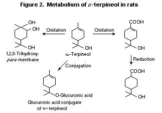 Terpinol (Terpineol)