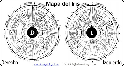 Profesionales de la salud asociados: mapa del Iris