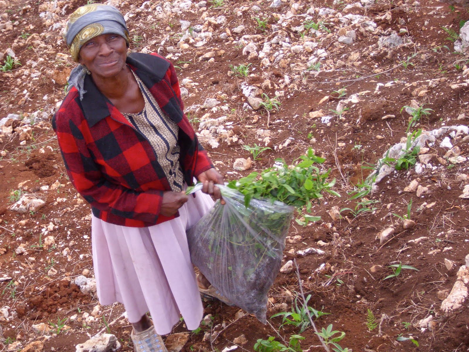 Plant With Purpose: A Visit to Fonds-Verrettes, Haiti