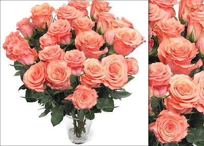 1000+ images about Peach and Mint Wedding on Pinterest | Mint, Peaches ...