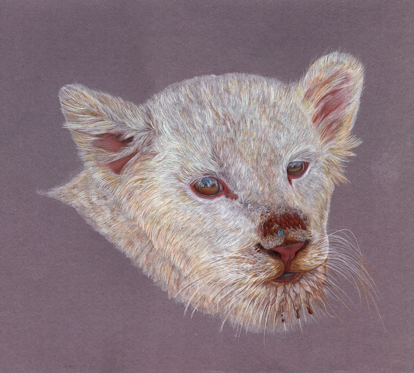 Bear Blog: Apple Pie House is the Premier stockist of Sonja Wray ...