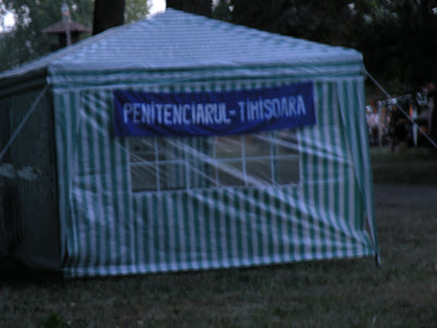 Pitpalac şi pădurea din Trebuci