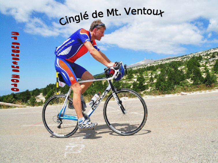 Marco & Ellen Moerman