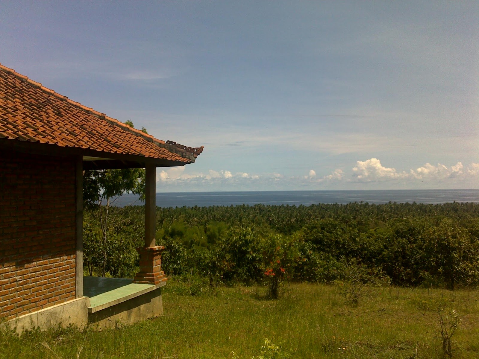 NAJA'S: VERY NICE VIEW OF LAND FOR SALE IN BALI