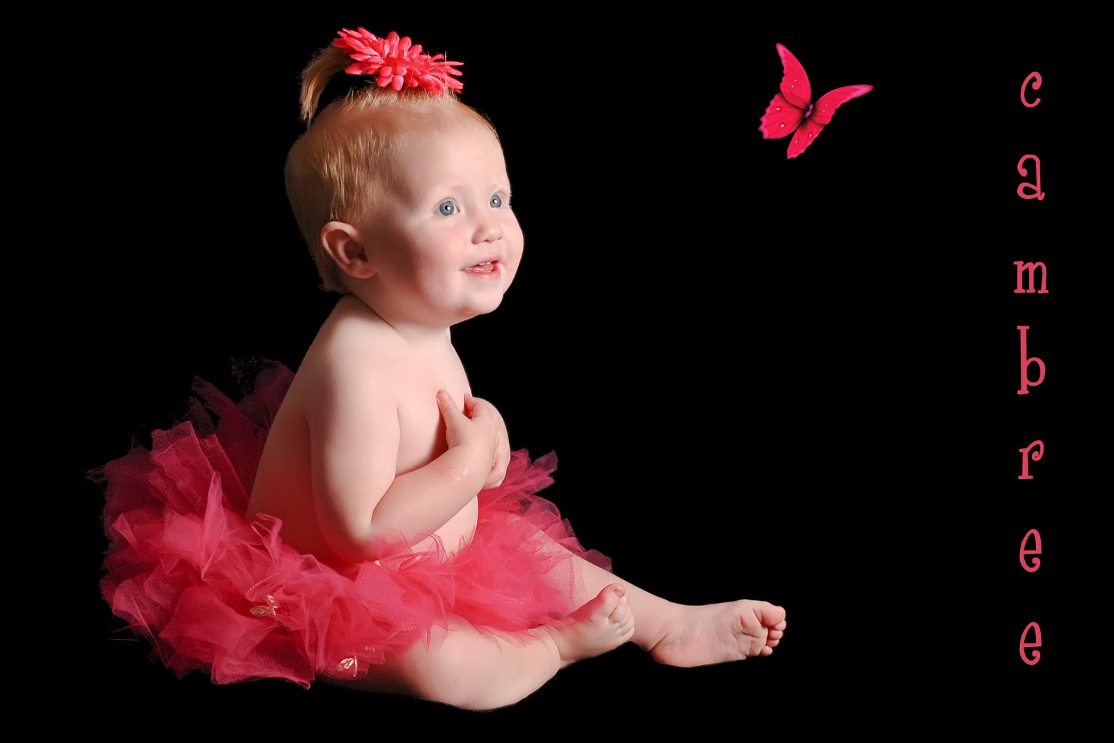 The Guymon Family: Finding Joy in Our Journey: Cambree's 1 year portraits