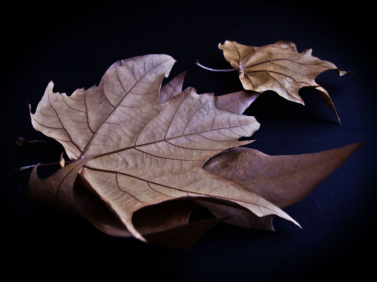Pasaba por ahí...: octubre 2009