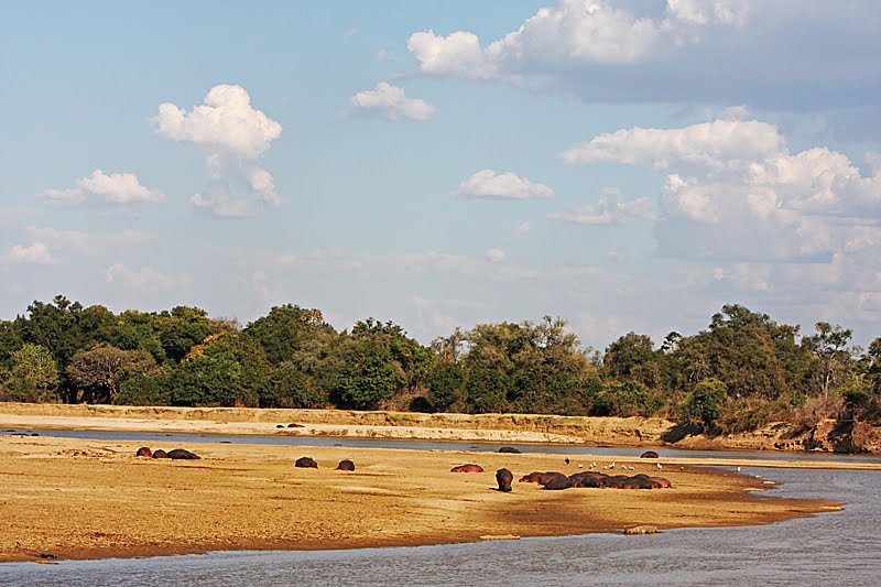 Marius Coetzee Photography: South Luangwa National Park