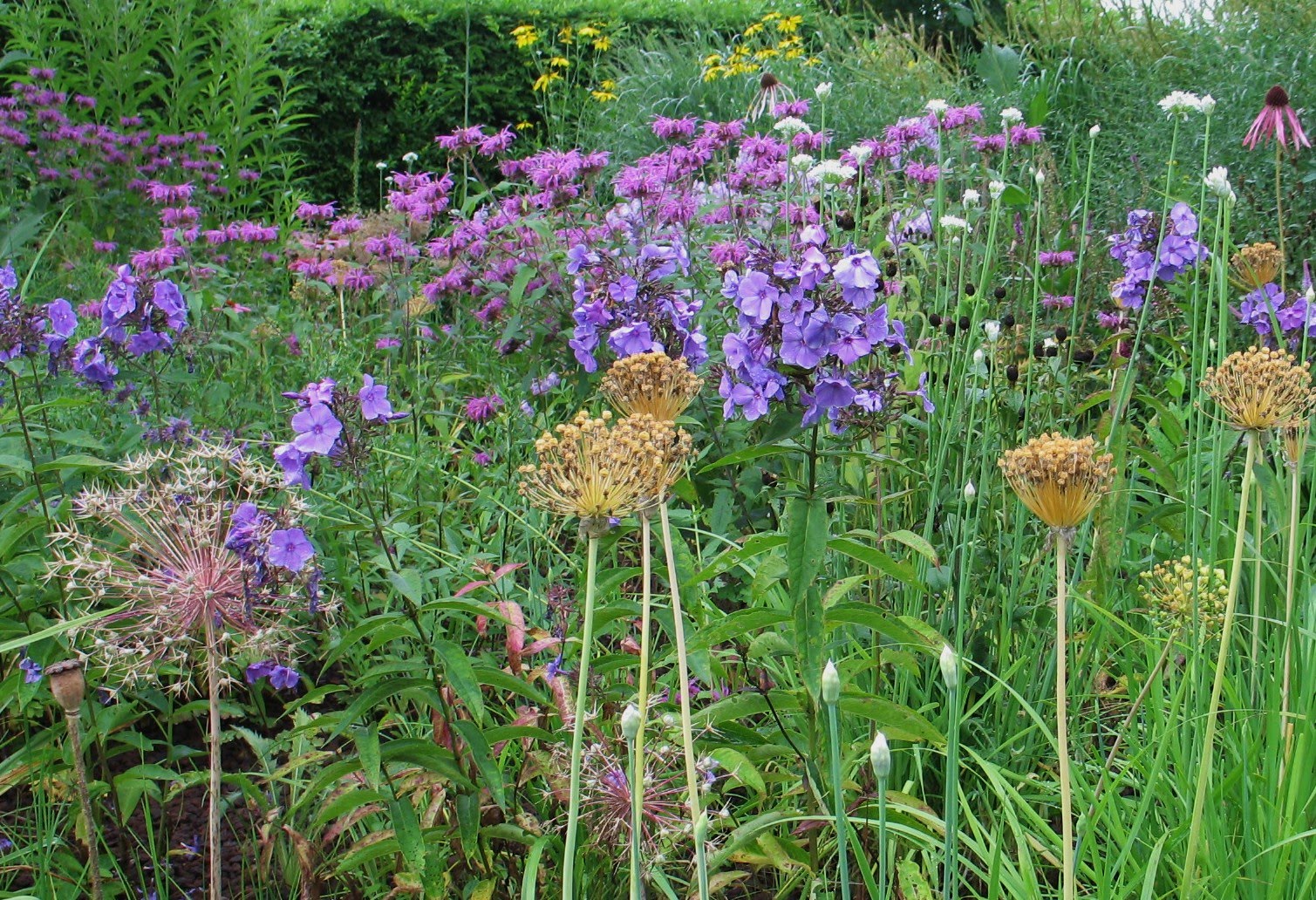 Biotope Design: The Private Prairie Style Garden