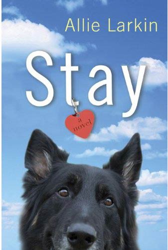 Check This Out: It's Not Too Late for Summer Reads!