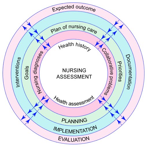 Nursing 301