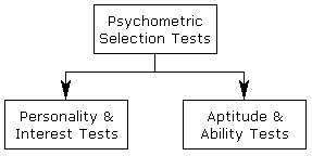 Psychometric Test for Jobs | Career Quips
