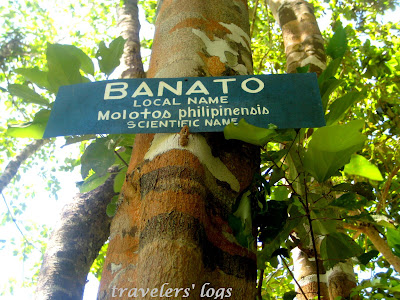 tipidtrip ... TRIPID: extraordinary budget trips: November 2008