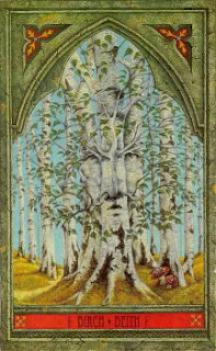 Tarot Notes: ORACLE CARD