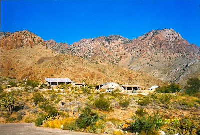 Camissonia's Corner: East Mojave Redux