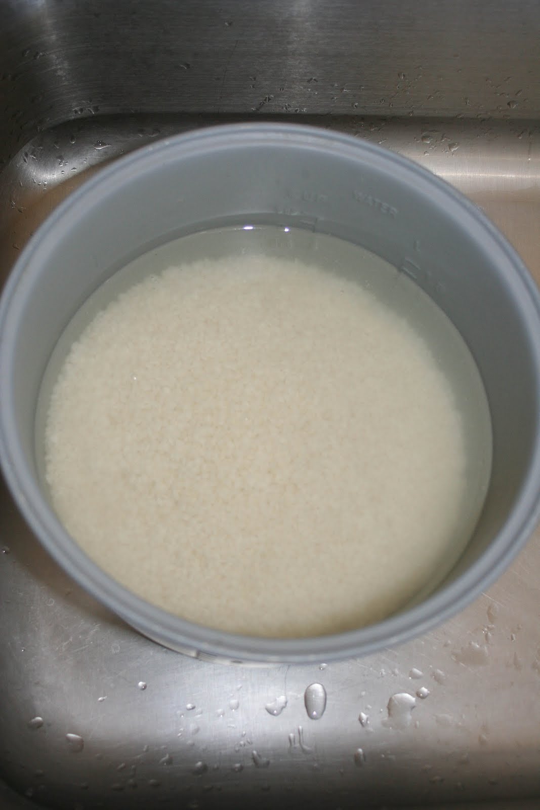 The Grub Files: Cooking with Camissonia: Sticky Rice Wrapped in Lotus ...