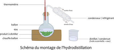 Le Bac S pour les Nuls: Extraction de substances naturelles (Spé Chimie)