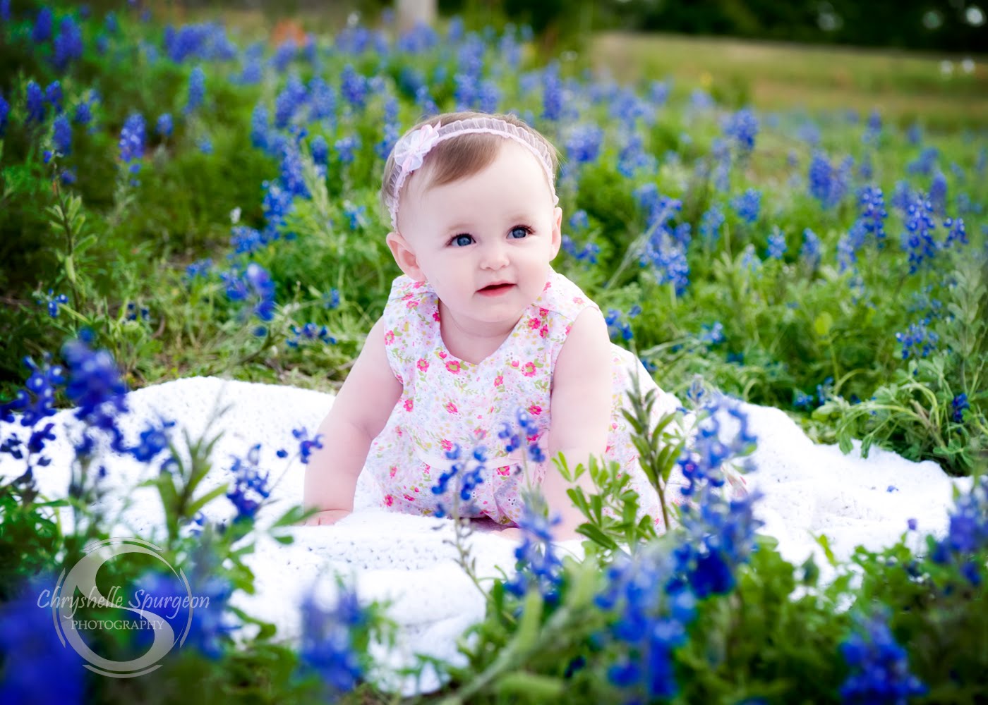 Chryshelle Spurgeon Photography: Bluebonnet Preview #3 {Custom ...