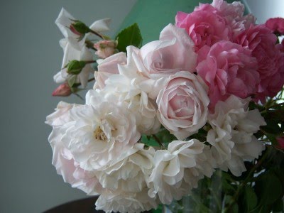 L'aiuola odorosa: 01/06/10 - 01/07/10