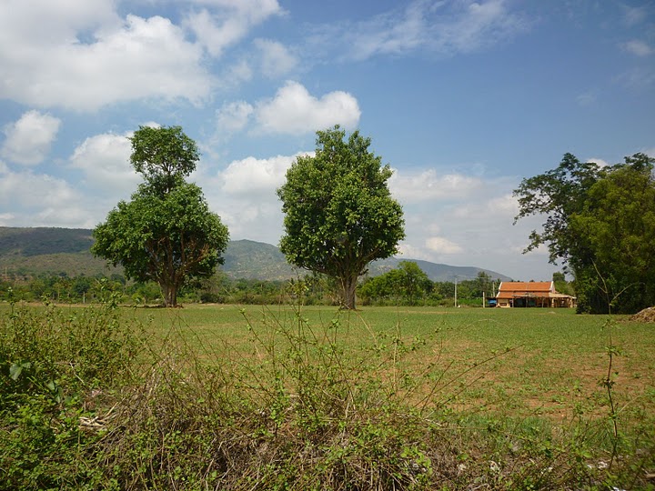 Baladi Yogesh's travel blogs: One day trip to "Muthathi forest"