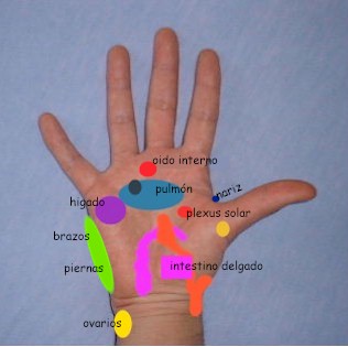 ESTRELLA ANA MARIA-SANACION: LOS ORGANOS EN LAS MANOS
