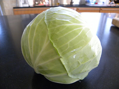 Diane's Texas Garden: First Cabbage...