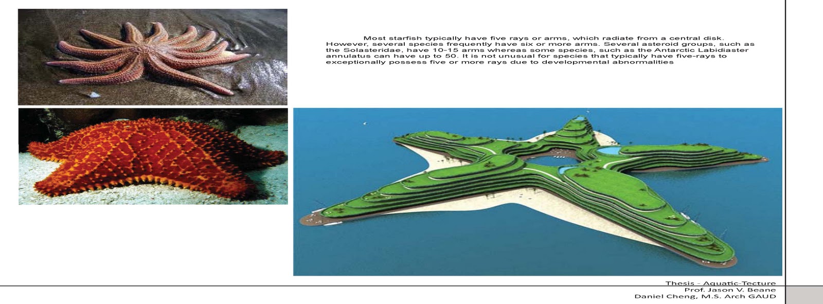 M.S. Architecture Thesis, Pratt: Design Concepts