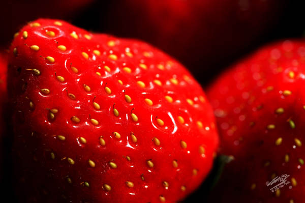 Close Up Photography Of Objects Hd