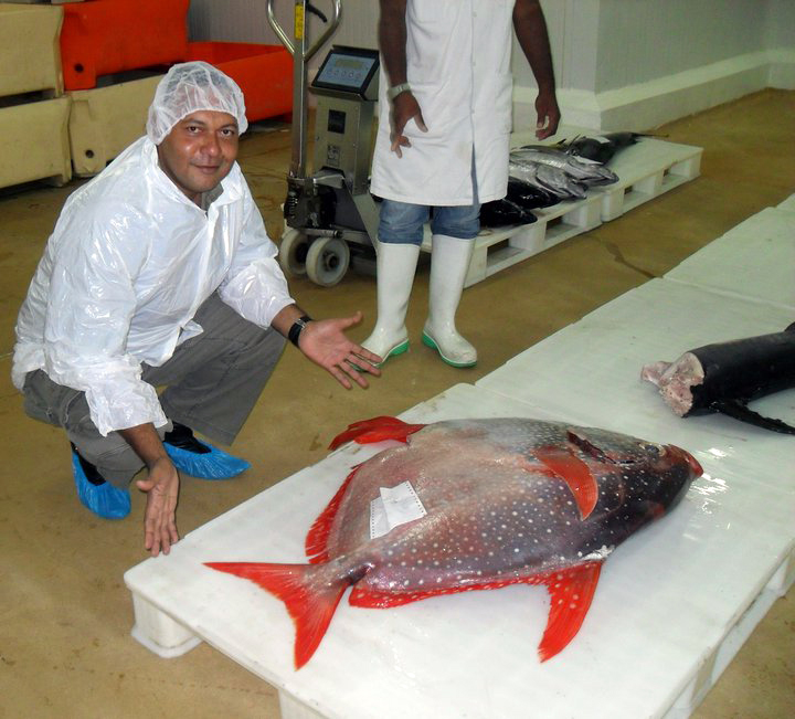 Bulolo Live: Fishing lessons from Tahiti