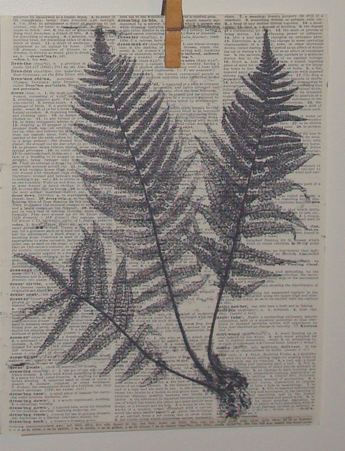 Practically Perfect: DIY Fern Prints