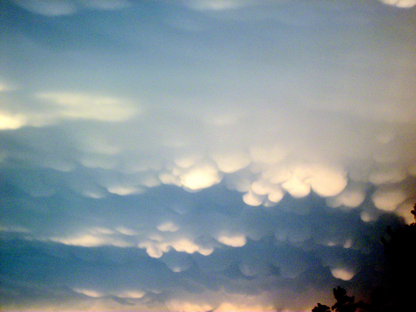 The Dread Family Roberts: Post Storm Clouds