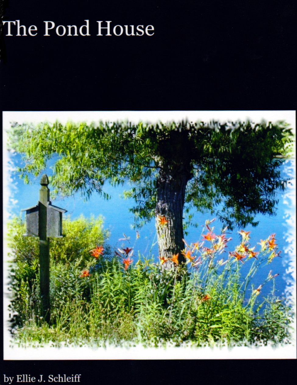 Pond House Primitives