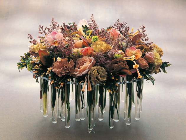 Daniel Ost - Alchetron, The Free Social Encyclopedia