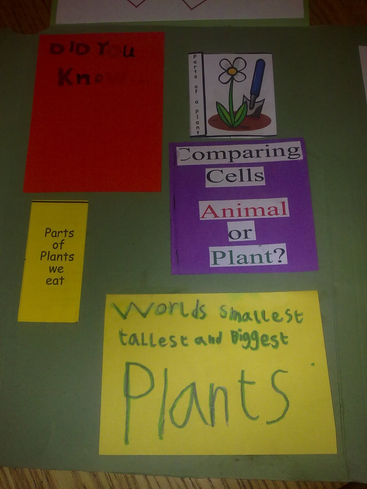 Freestyle Learning: Flower Lapbook