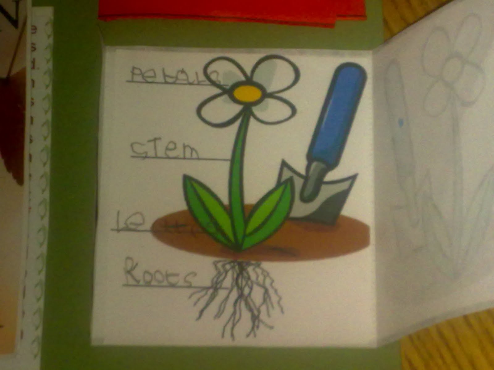 Freestyle Learning: Flower Lapbook
