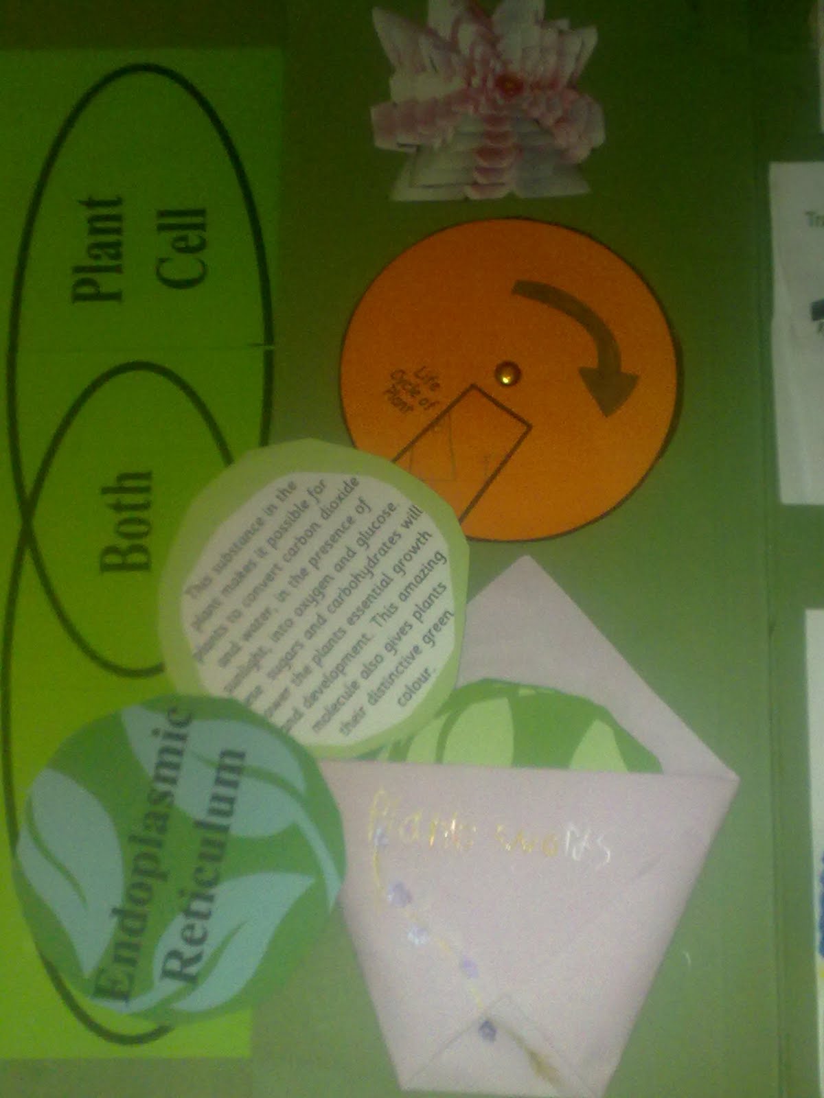 Freestyle Learning: Flower Lapbook