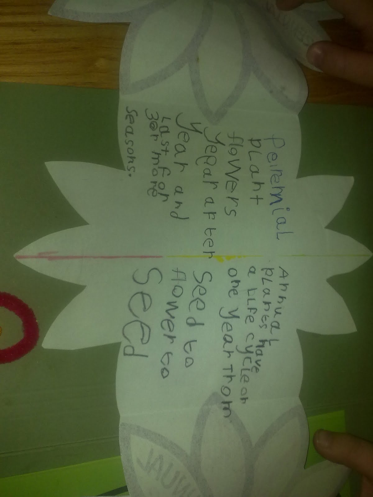 Freestyle Learning: Flower Lapbook