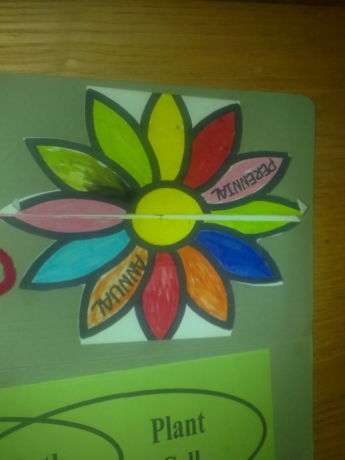 Freestyle Learning: Flower Lapbook