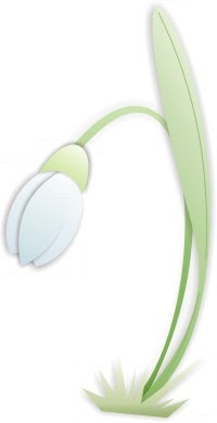 Dichisurile Ralucai: Pozitia ghiocel