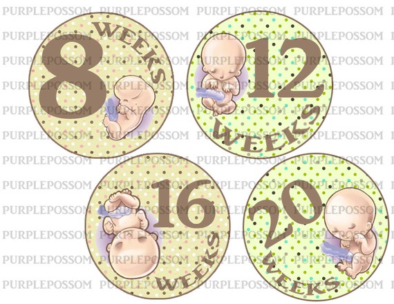 The Oxford Family: Welcome Purple Possom! Giveaway #6