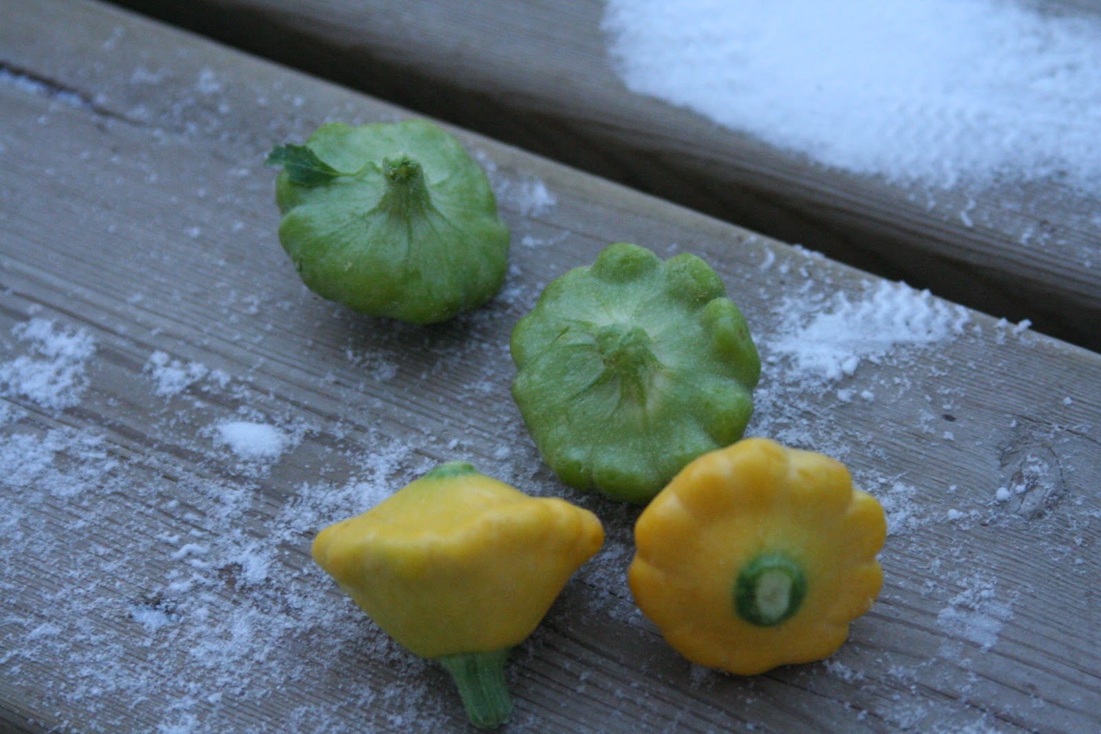 Everyday Foodie: Baby Summer Squash