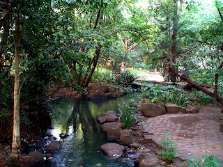 Travelz Unlimited: Osho Teerth Park , Pune : A Photo Feature