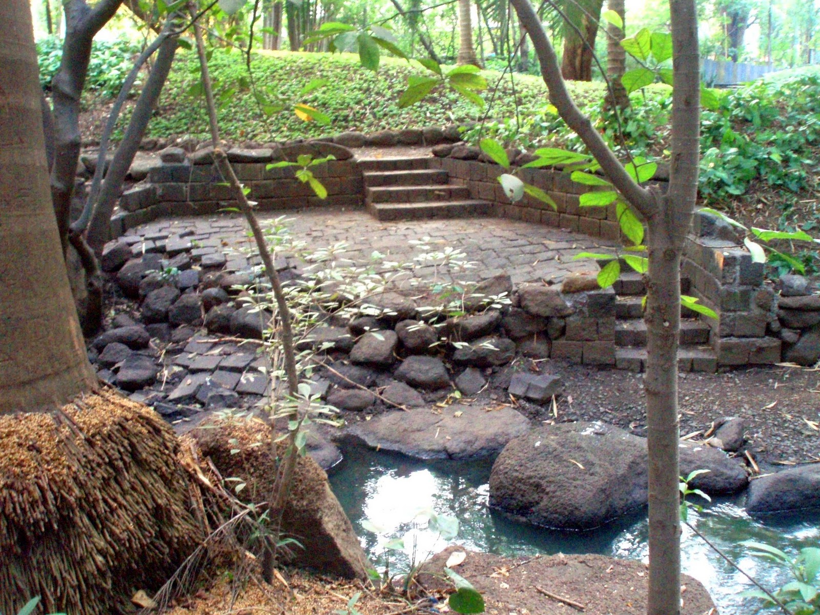 Travelz Unlimited: Osho Teerth Park , Pune : A Photo Feature