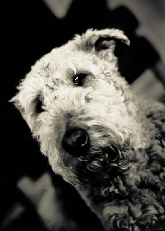 Katie Slater Photography: January 2009