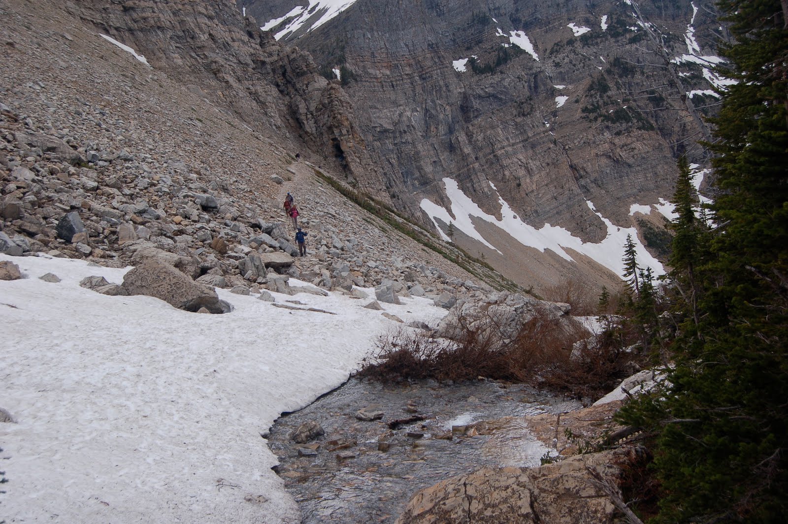 The Wandering Holyokes: Crypt Lake Hike