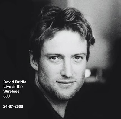 That Striped Sunlight Sound: David Bridie - Live at the wireless