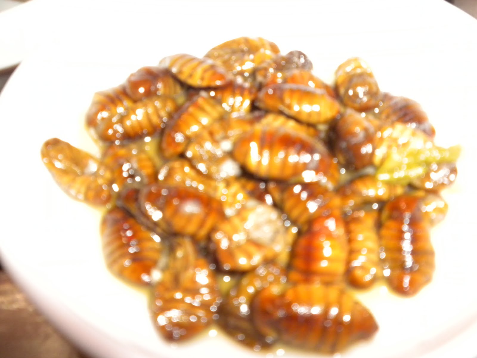 Korean Side Dish: Let's Talk About Bugs Baby!