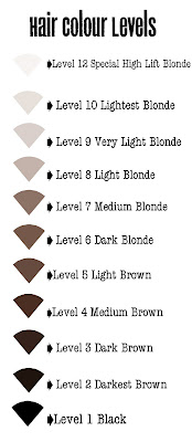 ABC'S OF THE HAIR COLOR "LEVEL SYSTEM" | Killerstrands Hair Clinic