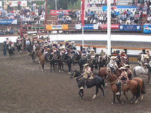 El Corralero: RANKING 60 AÑOS DEL RODEO CHILENO