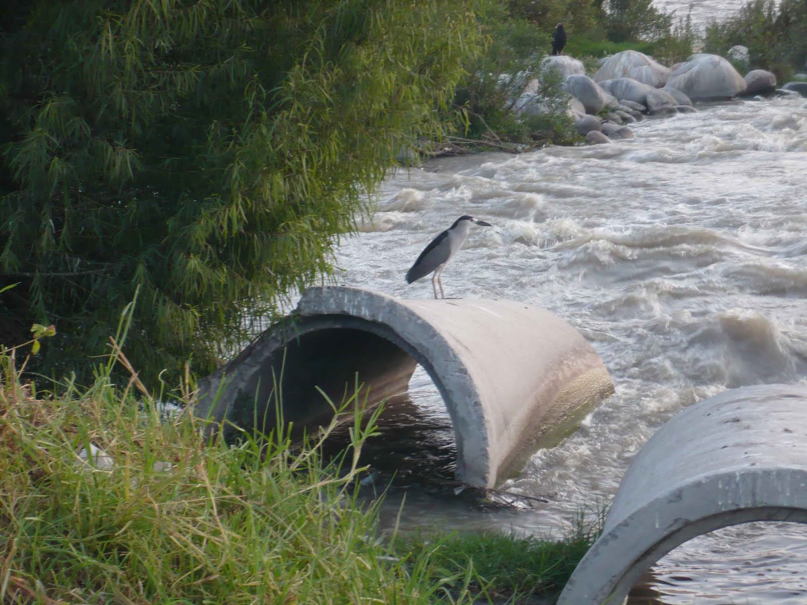 Contaminacion ambiental en Arequipa: Contaminacion Del Agua en Arequipa